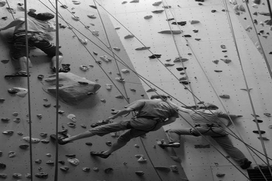 Evolution Verticale Woluwe-Saint-Lambert